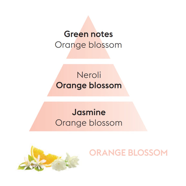 Lampe Berger Orange Blossom Fragrance Oil 500 ml – Fragrance Oils Direct