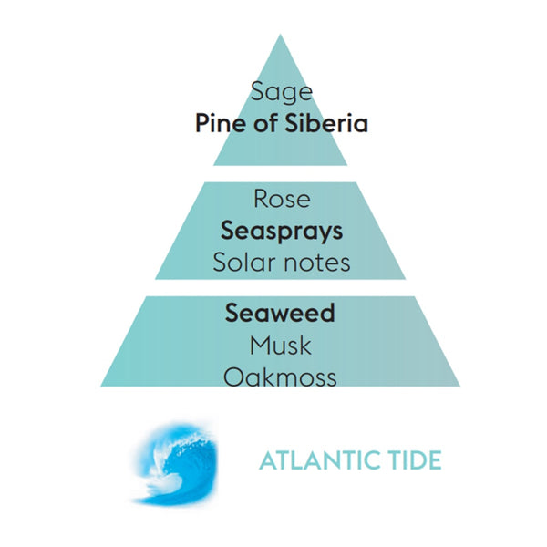 Lampe Berger Atlantic Tide Fragrance Oil 500 ml – Fragrance Oils Direct