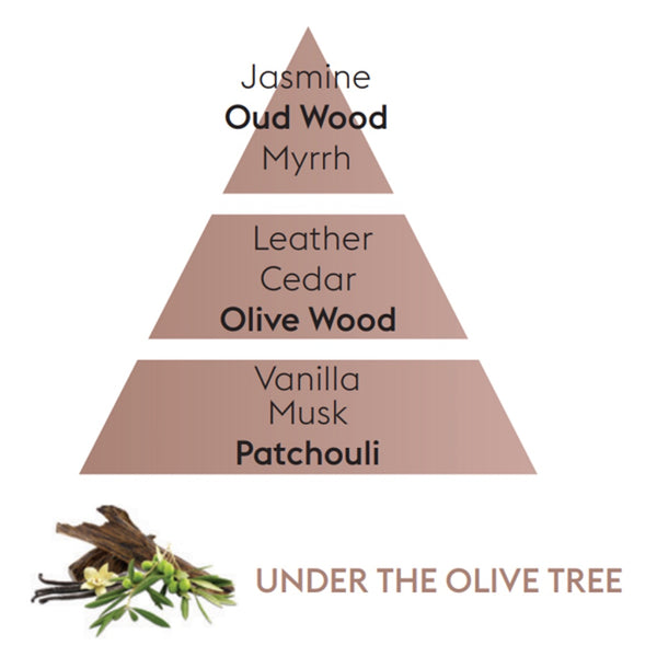 Lampe Berger Under The Olive Tree Fragrance Oil 1 Liter – Fragrance ...